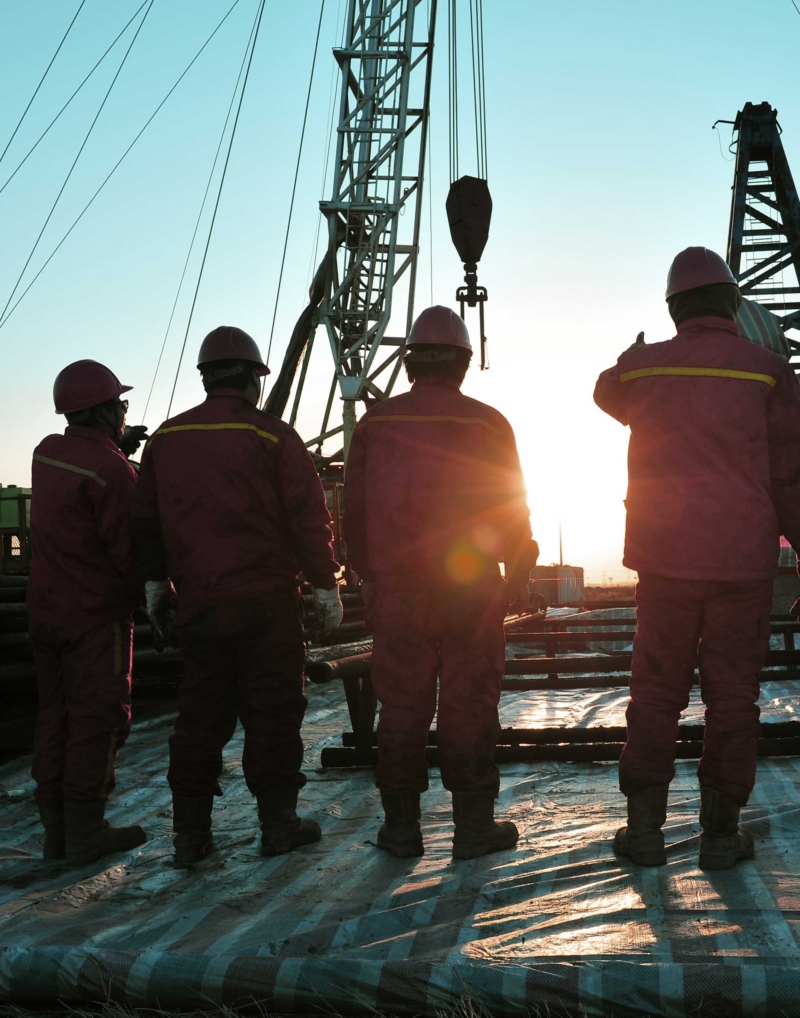 BQS Quality Services - Basisgroup Spa